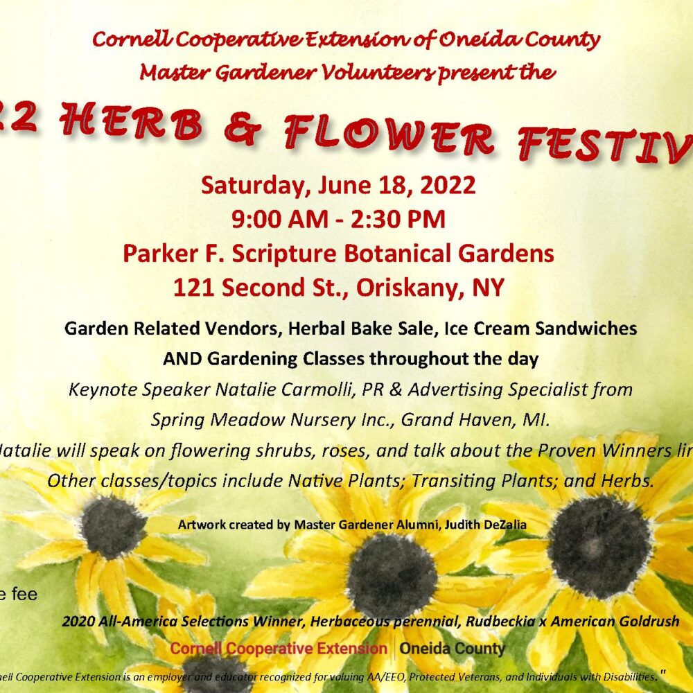 Lans Flower Farm - Farmers Market